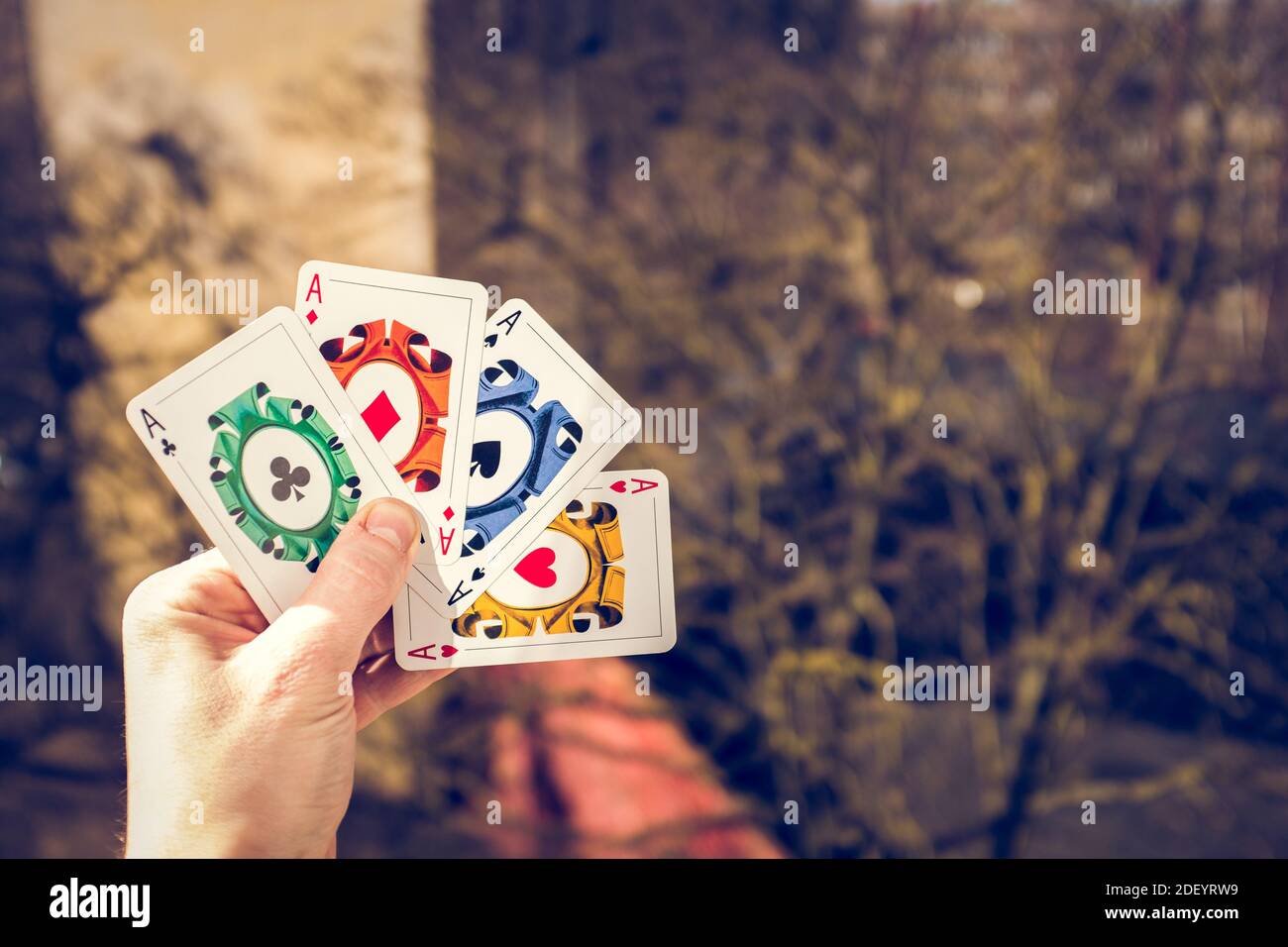 A closeup shot of a person's hand holding four aces playing cards Stock ...