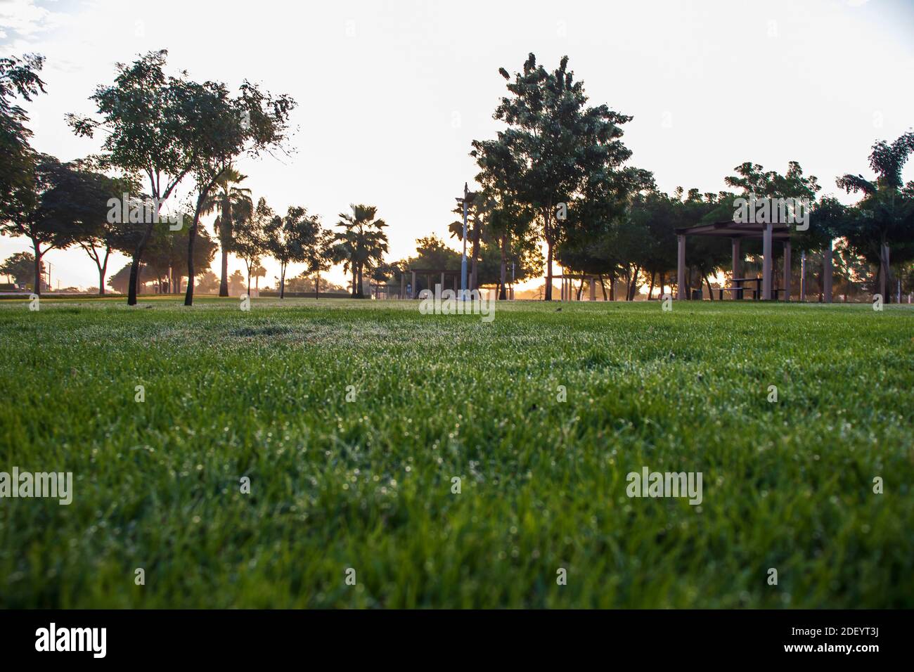 Al warqa hi-res stock photography and images - Alamy