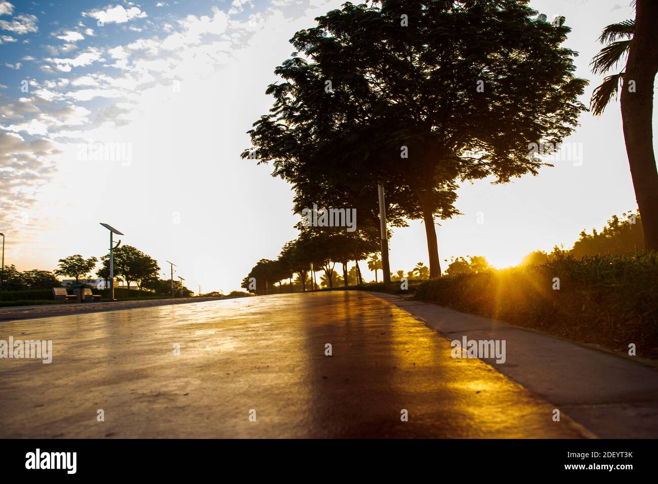 Jogging and cycling tracks in Al Warqa park, Dubai, UAE early in the ...