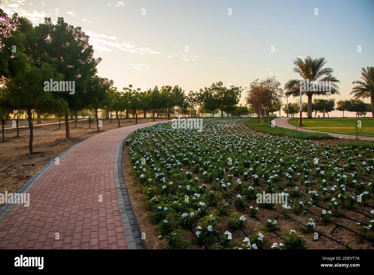 Al Warqa park in Dubai on early morning. UAE Stock Photo - Alamy