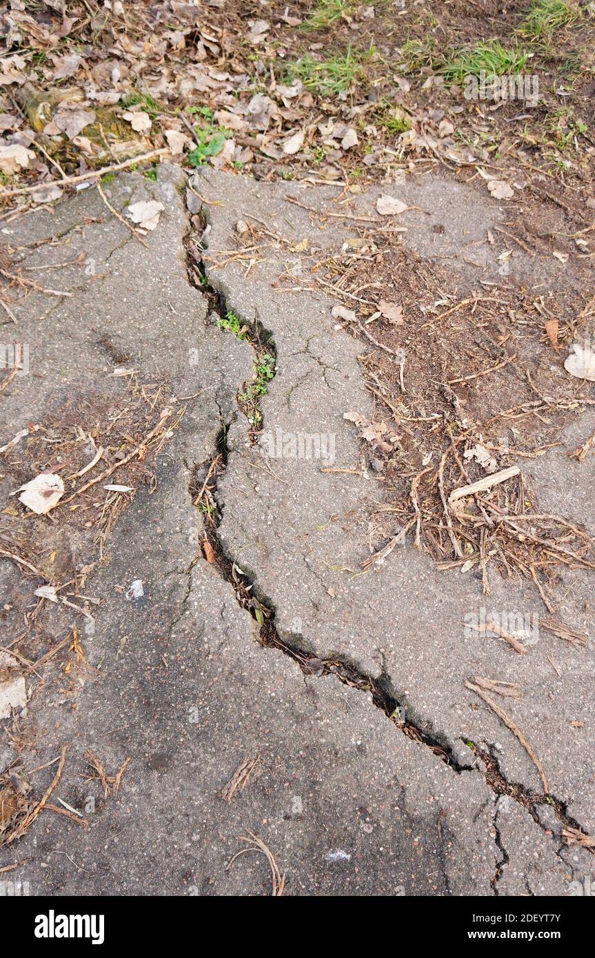 A vertical shot of a crack on hard asphalt Stock Photo - Alamy