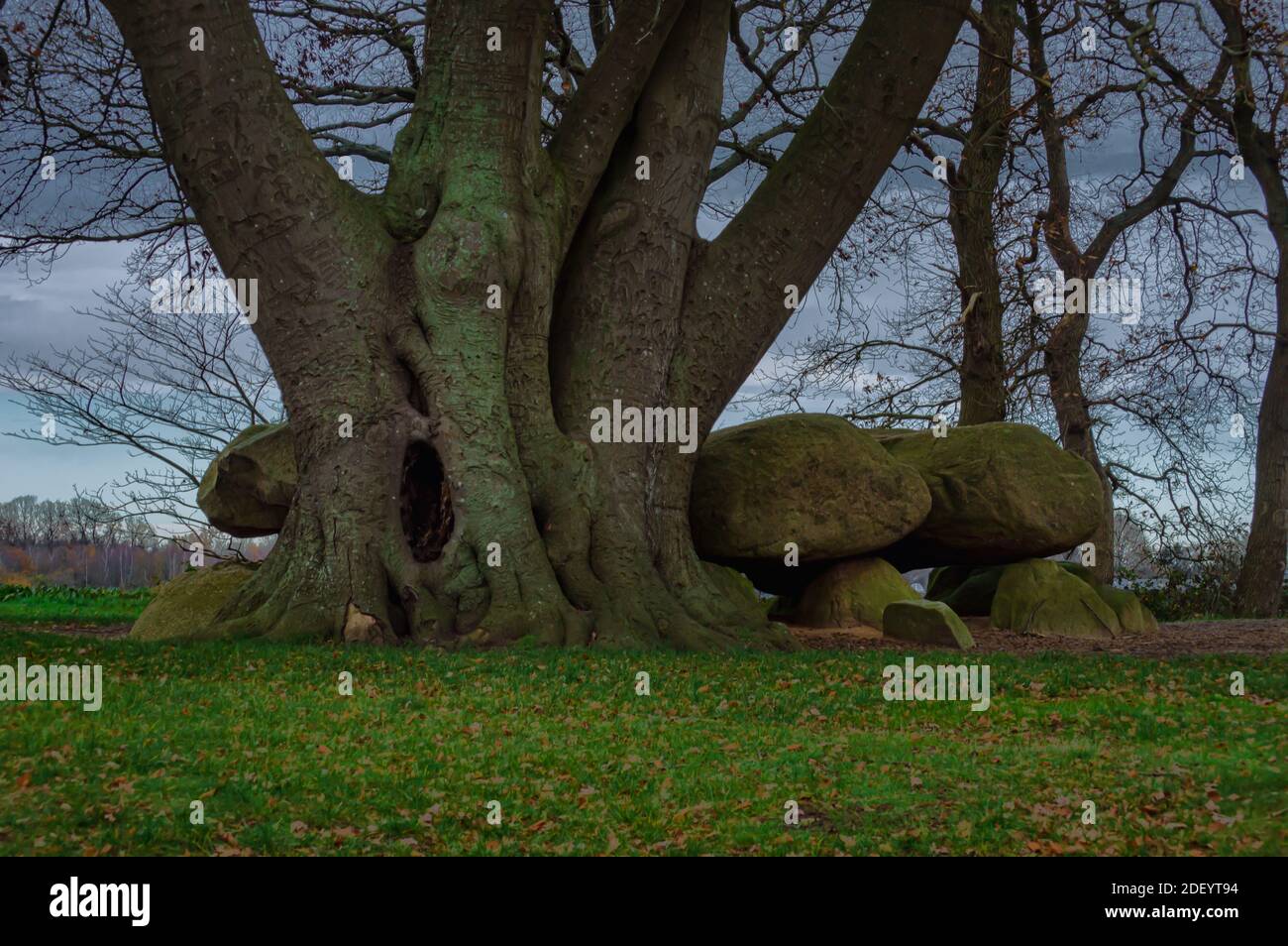 Stone age bed hi-res stock photography and images - Alamy