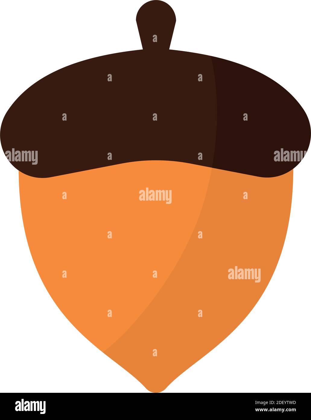 Dried acorn Stock Vector Images - Alamy