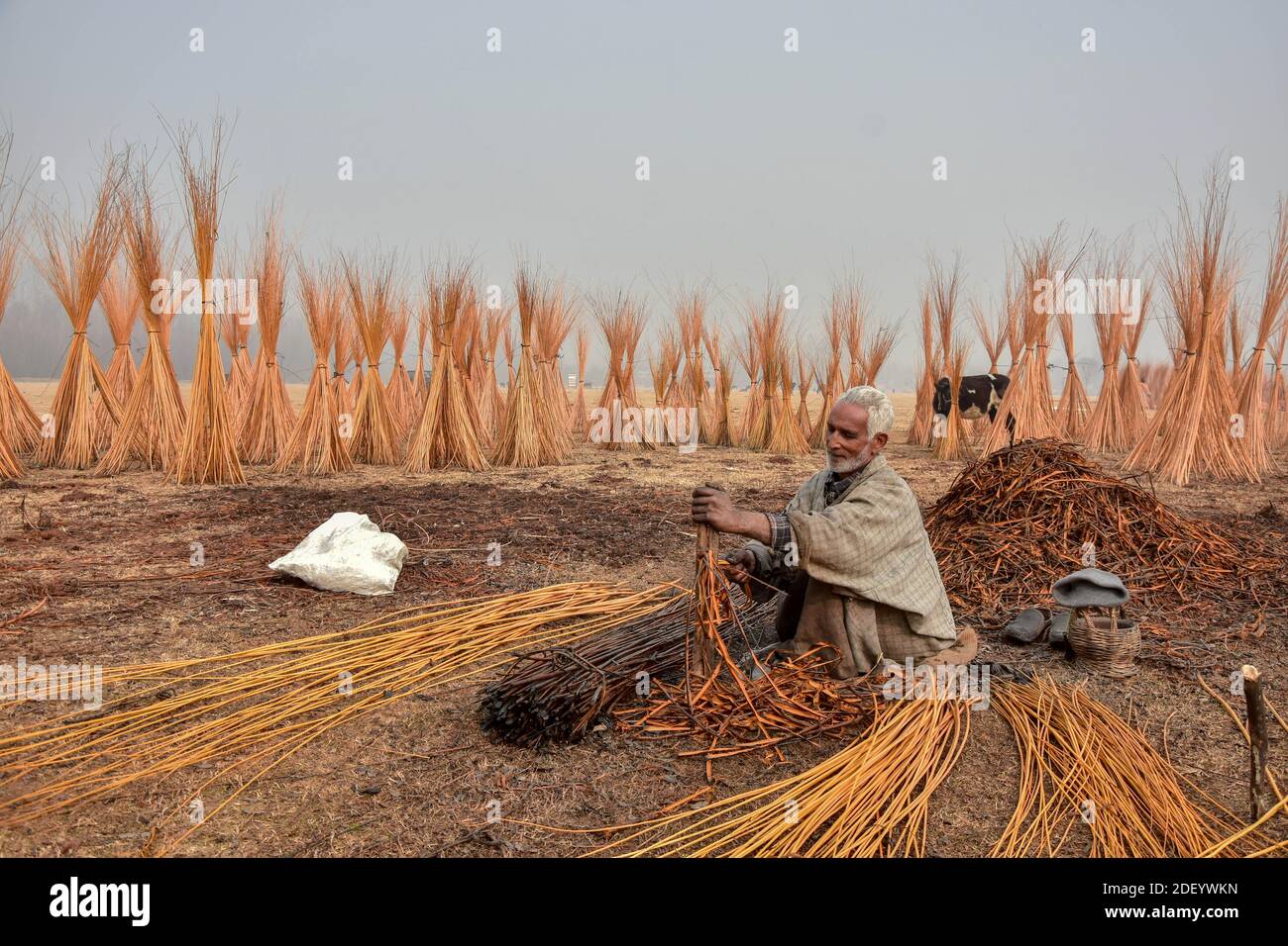Srinagar, India. 02nd Dec, 2020. A Kashmiri man prepares twigs to make ...