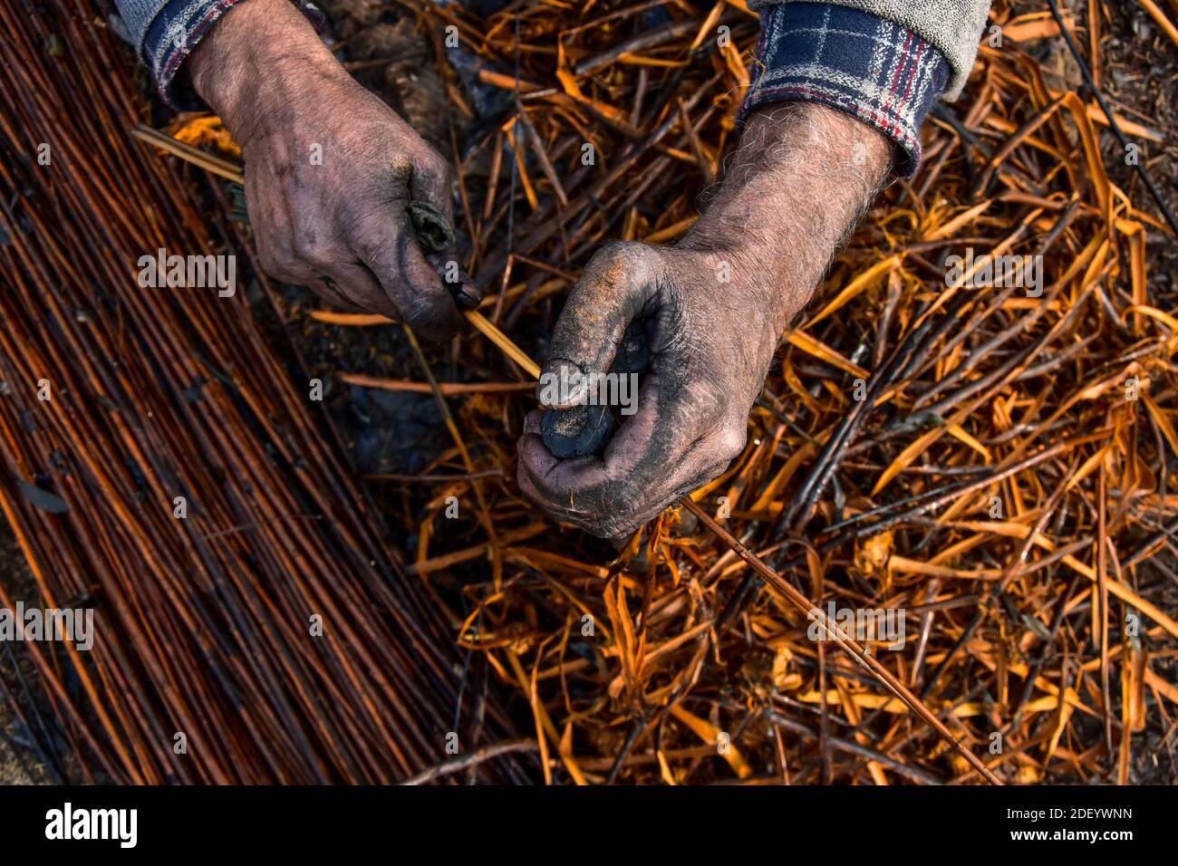 Srinagar, India. 02nd Dec, 2020. A Kashmiri man prepares twigs to make ...