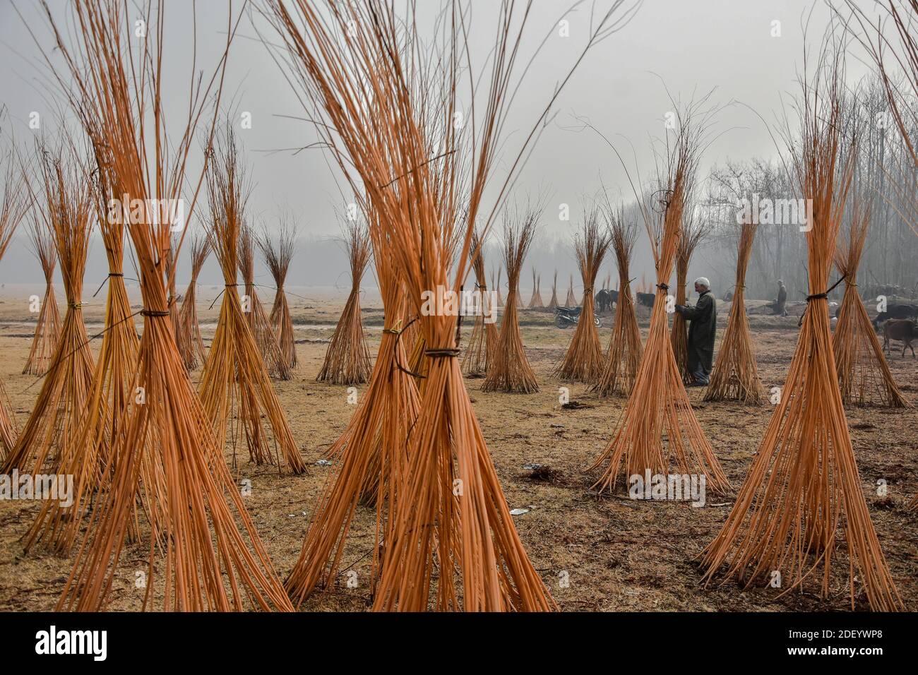 Traditional kashmiri fire pots hi-res stock photography and images - Alamy