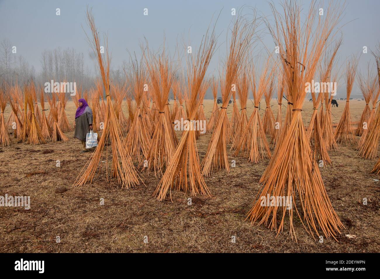 Traditional kashmiri fire pots hi-res stock photography and images - Alamy