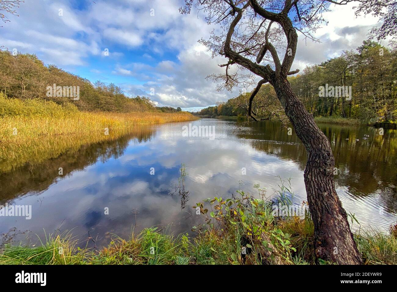 Ostseebad prerow hi-res stock photography and images - Alamy
