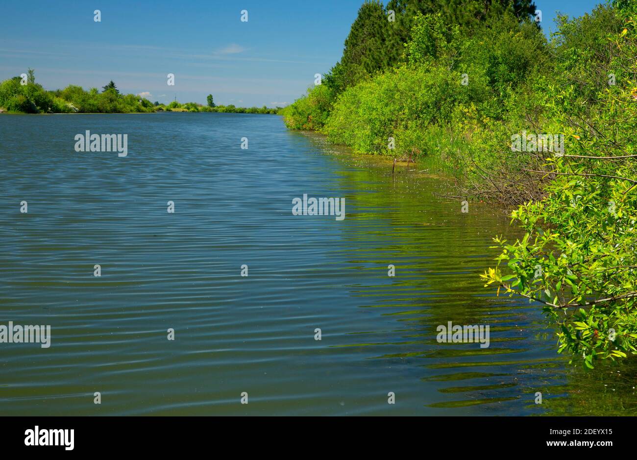 Bond Butte Pond, Bond Butte Pond Wildlife Area, Oregon Stock Photo - Alamy