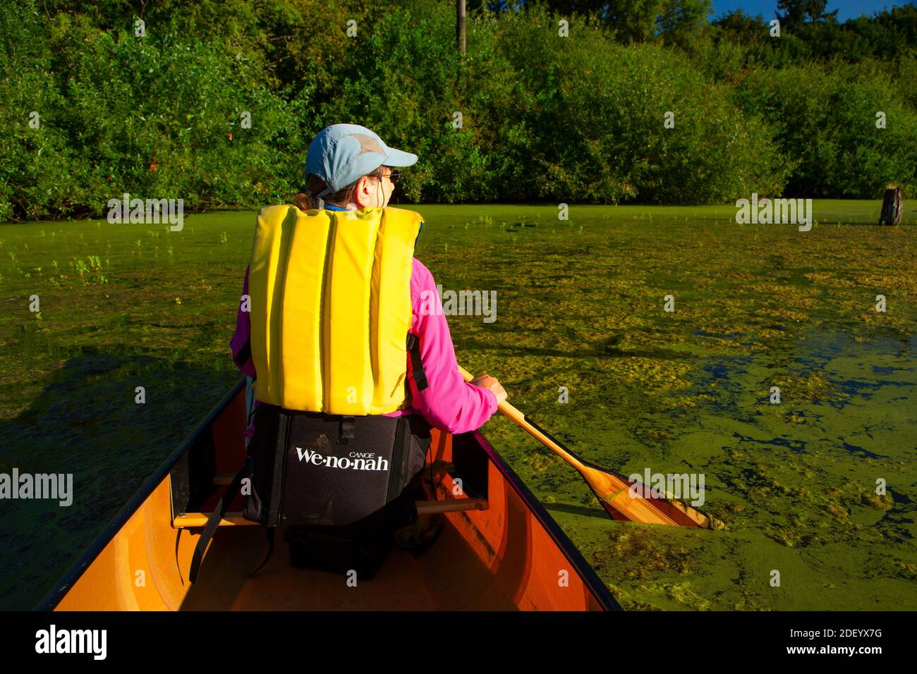 Canoeing on willamette river hi-res stock photography and images - Alamy