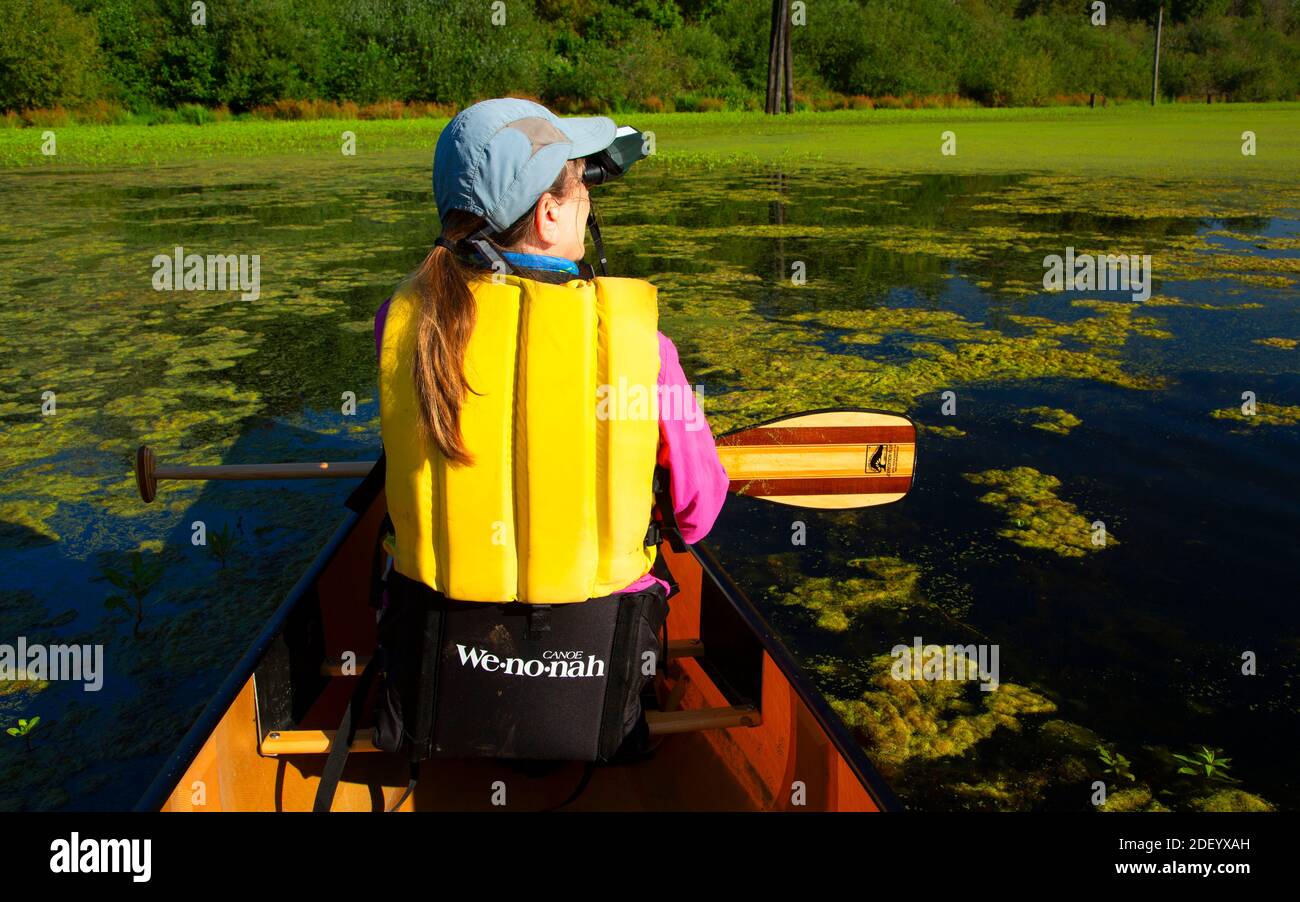 Canoeing on willamette river hi-res stock photography and images - Alamy