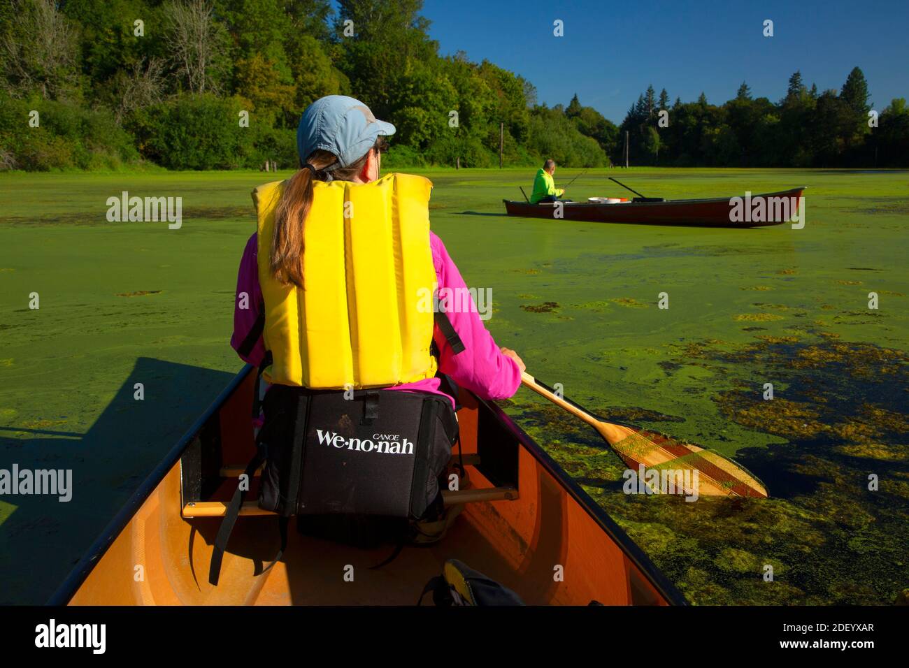 Canoeing on Second Lake, Simpson Park, Albany, Oregon Stock Photo - Alamy