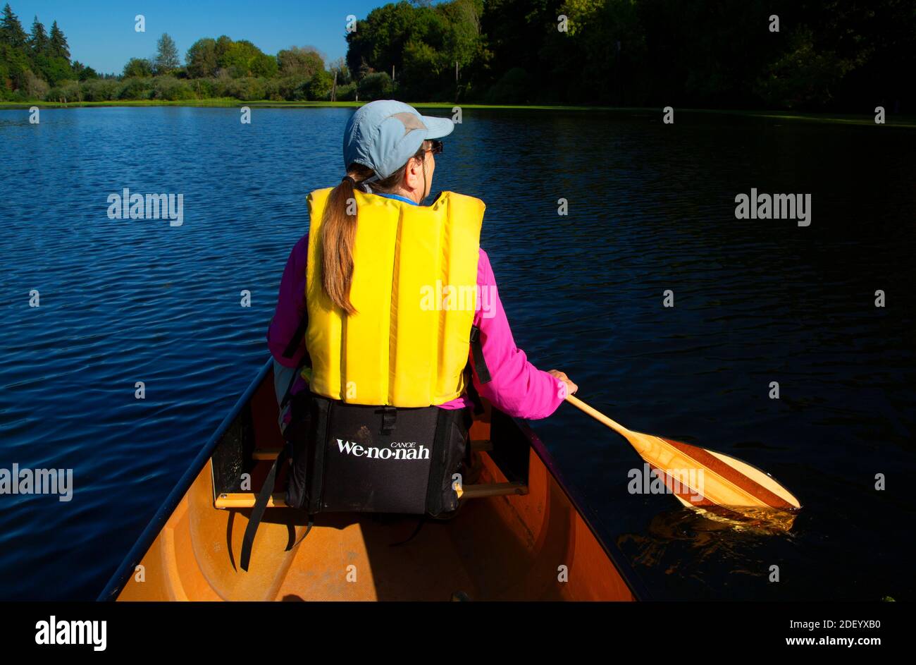 Canoeing on willamette river hi-res stock photography and images - Alamy