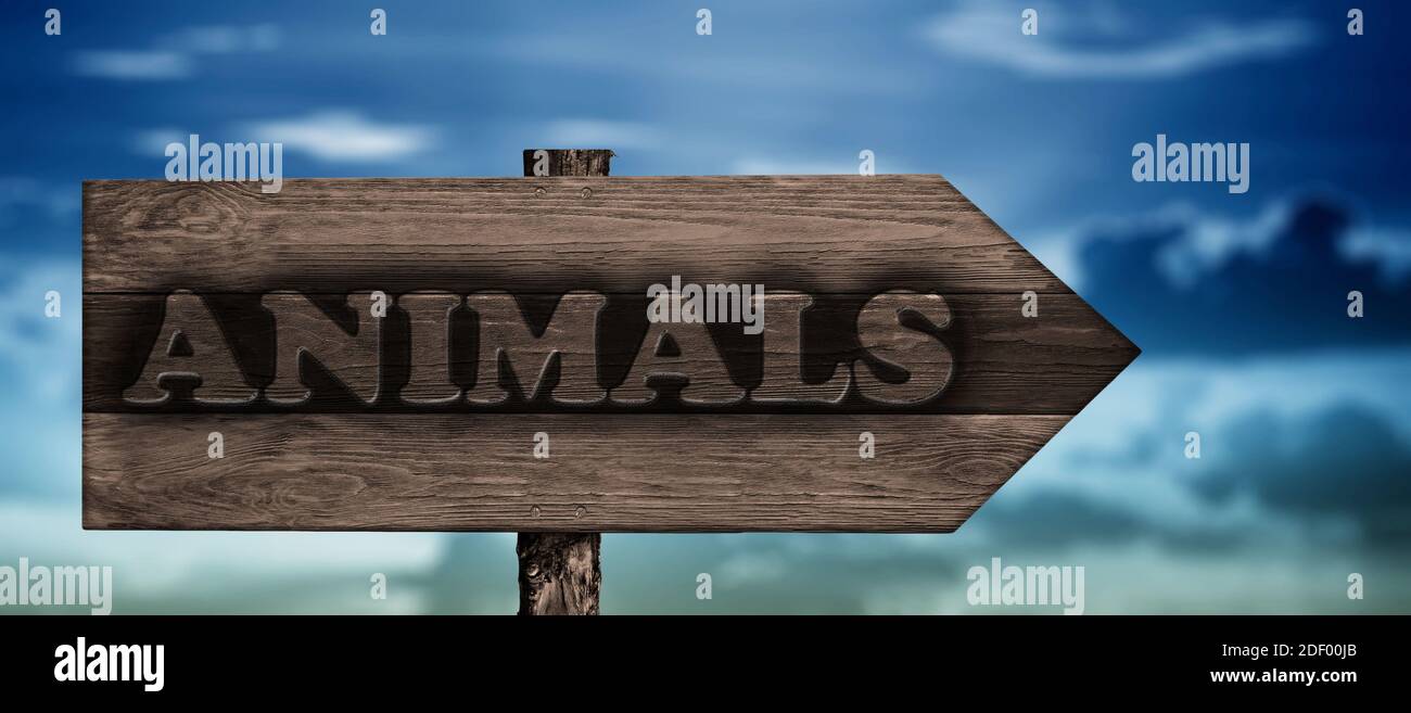 Wooden sign word zoo illustration hi-res stock photography and images ...