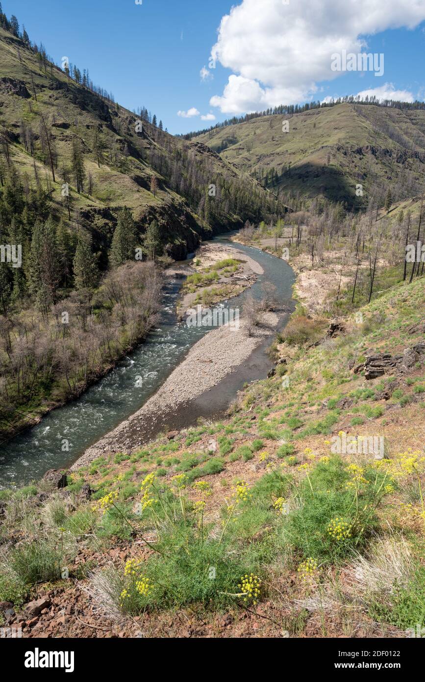 The Wenaha River in Northeast Oregon Stock Photo - Alamy