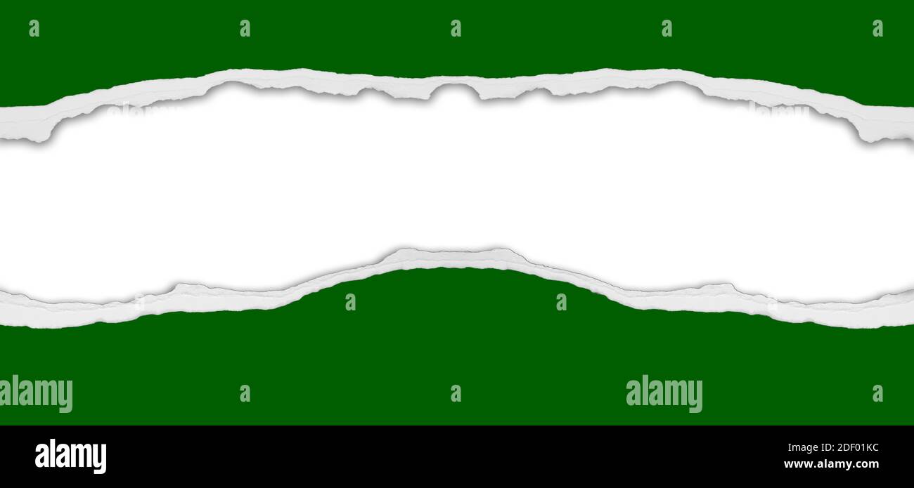 Ripped green paper on white background Stock Photo - Alamy