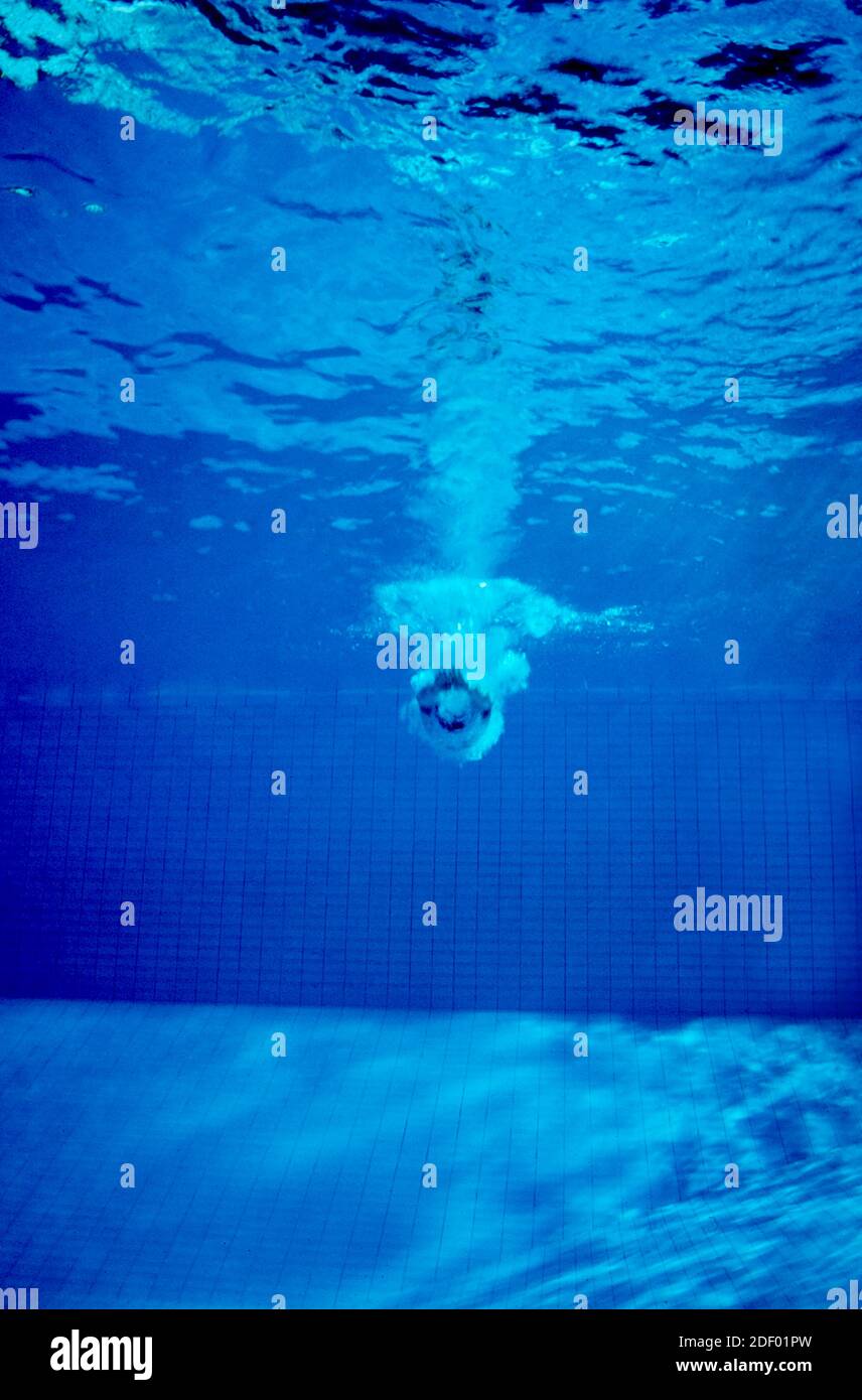 Competitive diver hi-res stock photography and images - Alamy