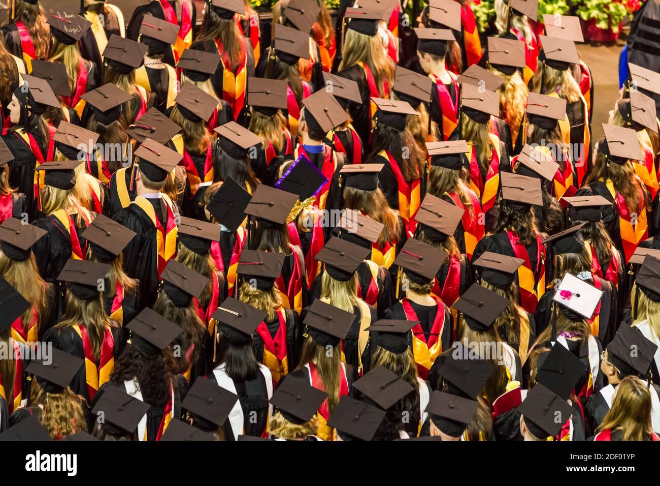 Graduation hood hi-res stock photography and images - Alamy