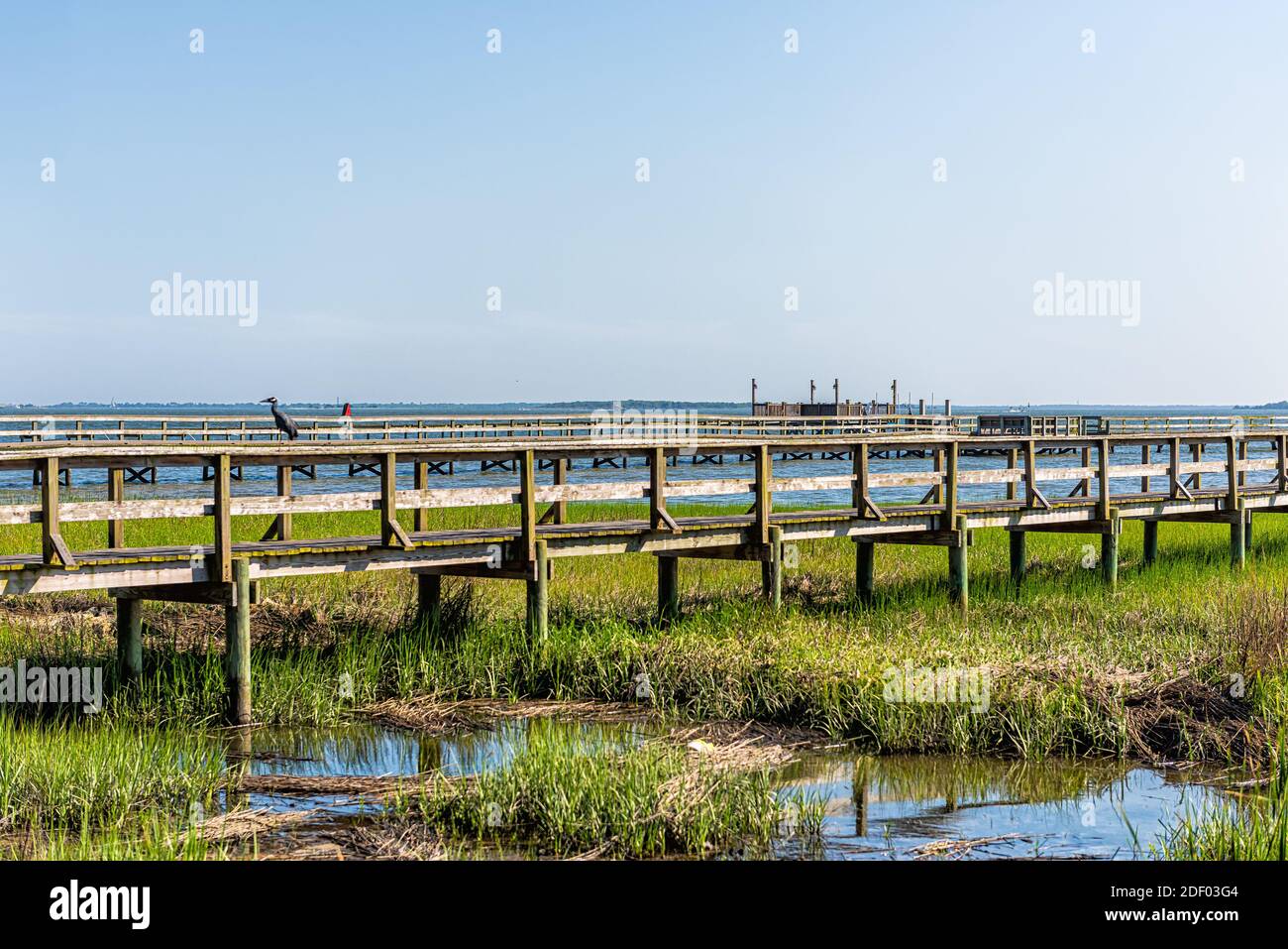 Hog island hi-res stock photography and images - Alamy