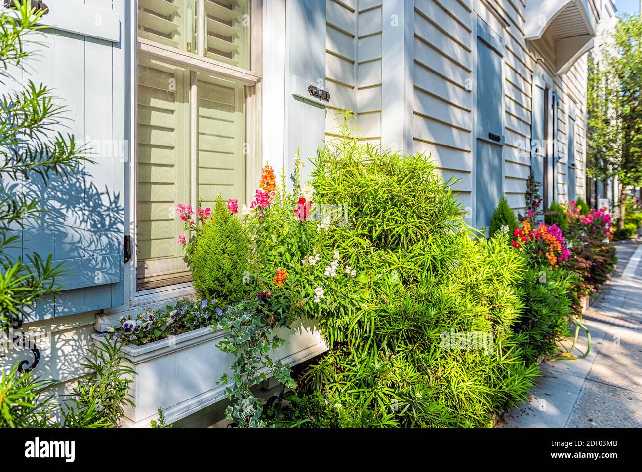 Closed pastel blue color windows and pink orange flowers in planter as ...
