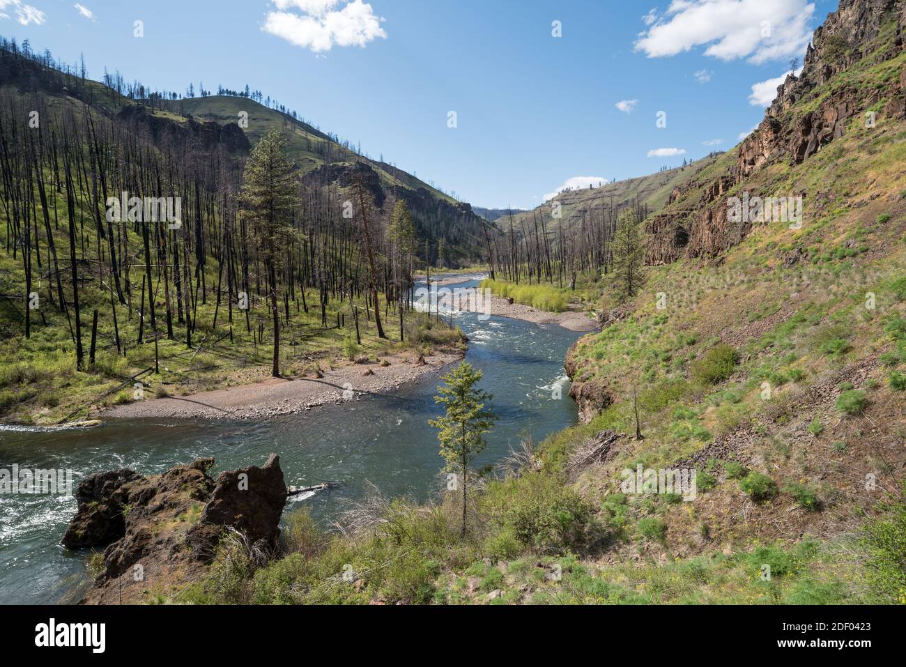 The Wenaha River in Northeast Oregon Stock Photo - Alamy