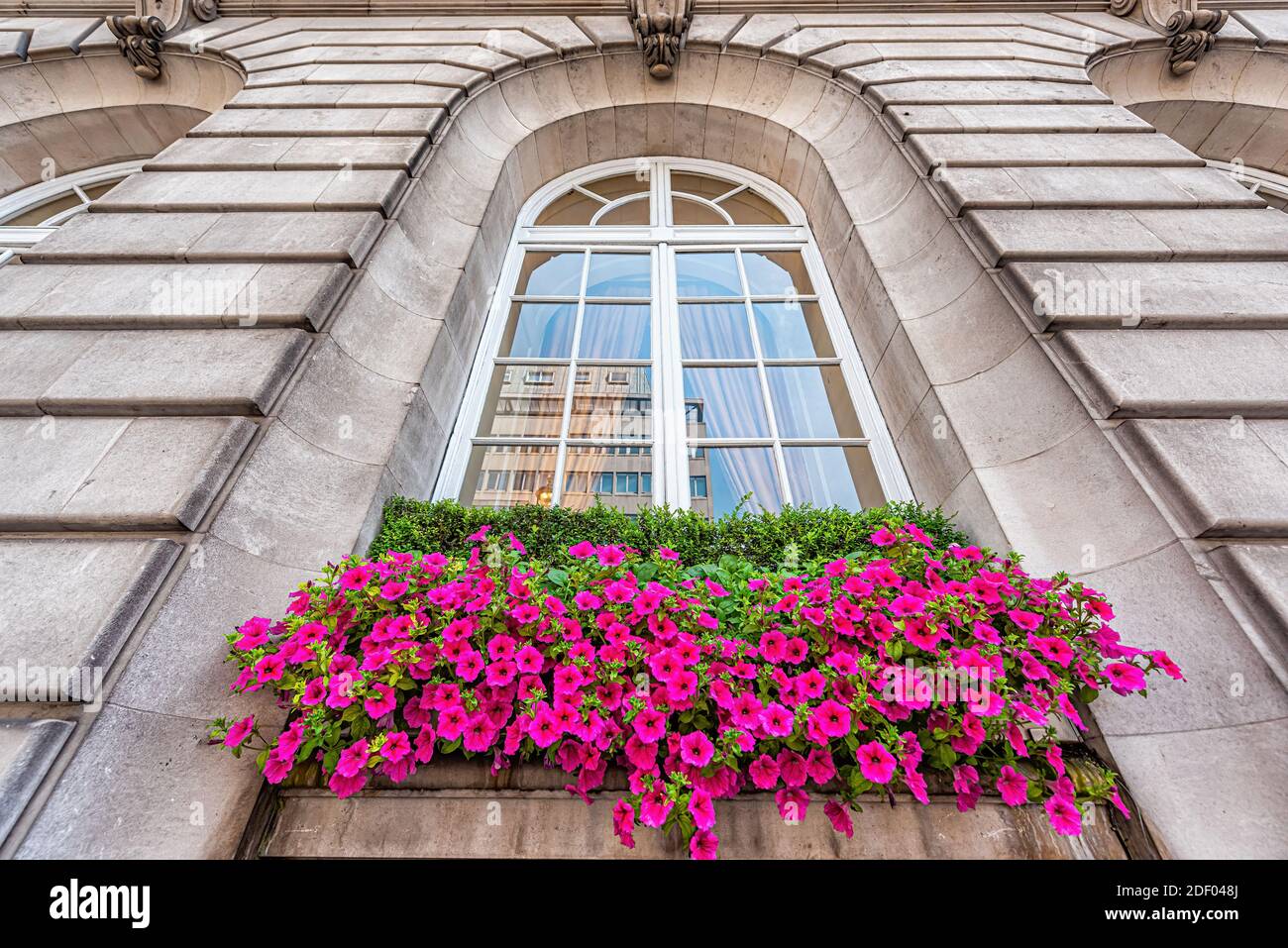 Victorian terrace front garden summer hi-res stock photography and ...