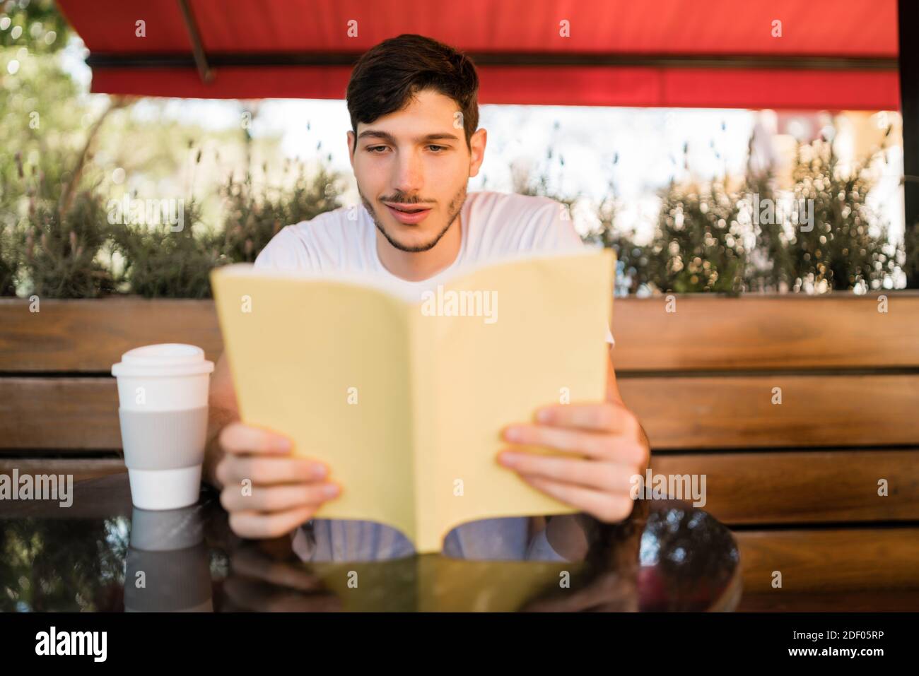 Concentrated man enjoying book sitting hi-res stock photography and ...
