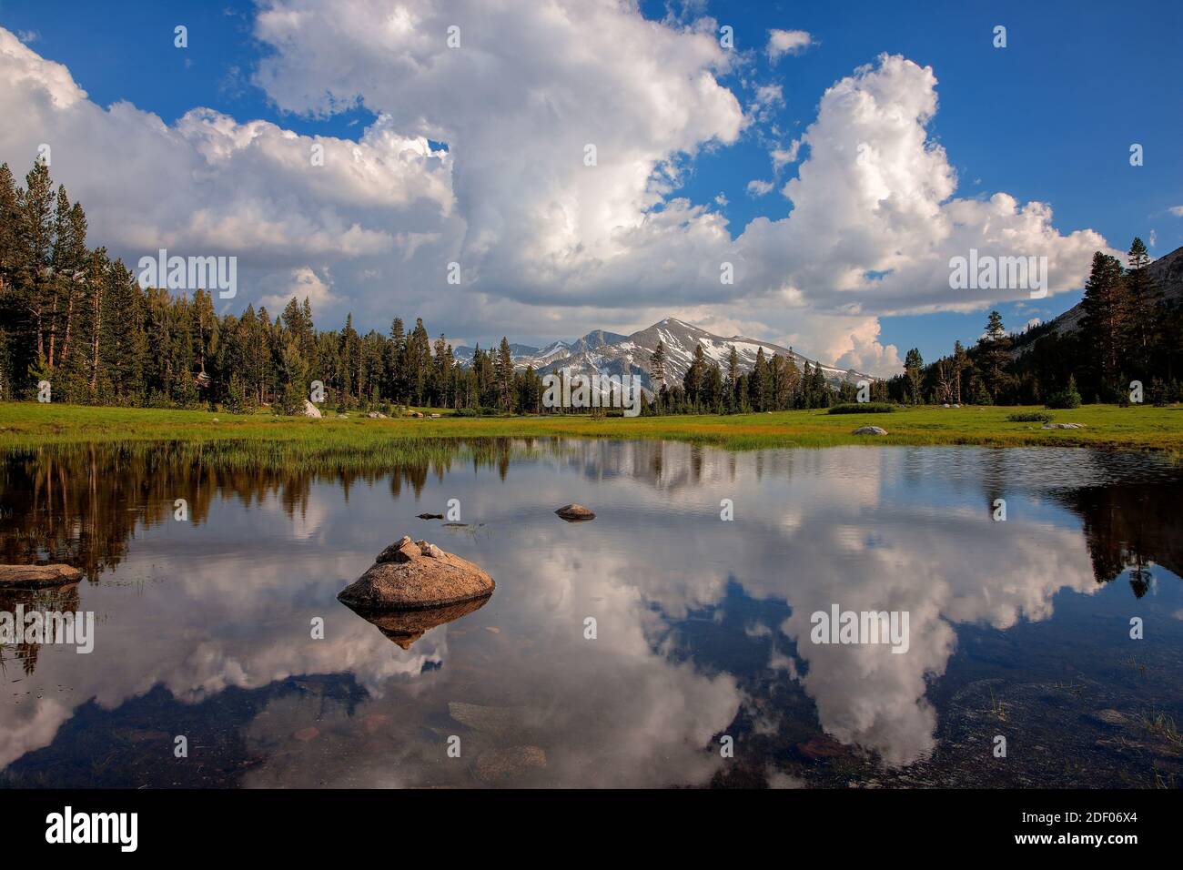 Yosemite national forrest hi-res stock photography and images - Alamy