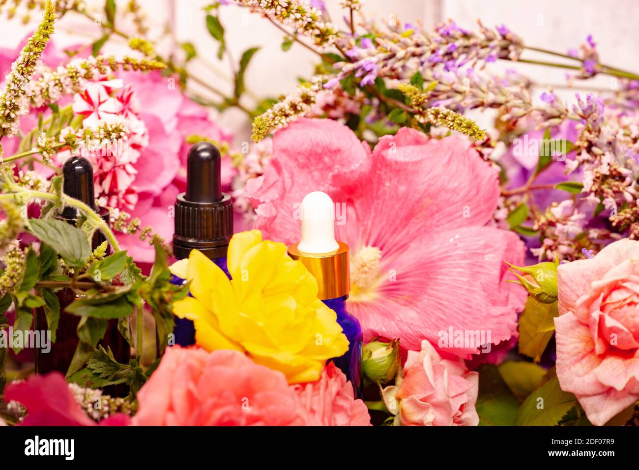 flowers and bottles of essential oils for aromatherapy Stock Photo - Alamy