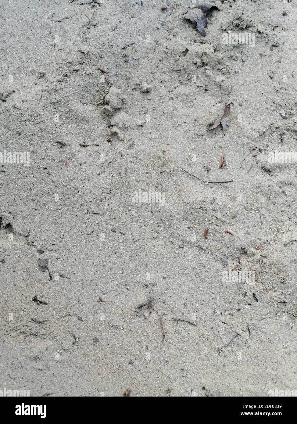 A vertical shot of the grey sand texture at the beach Stock Photo - Alamy