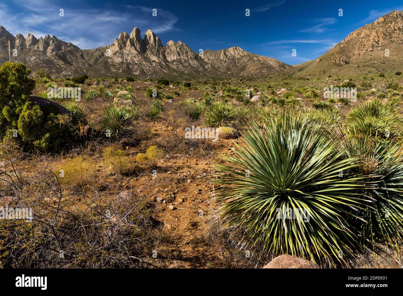 Chihuahuan Desert landscape near Aguirre Springs Campground, Organ ...