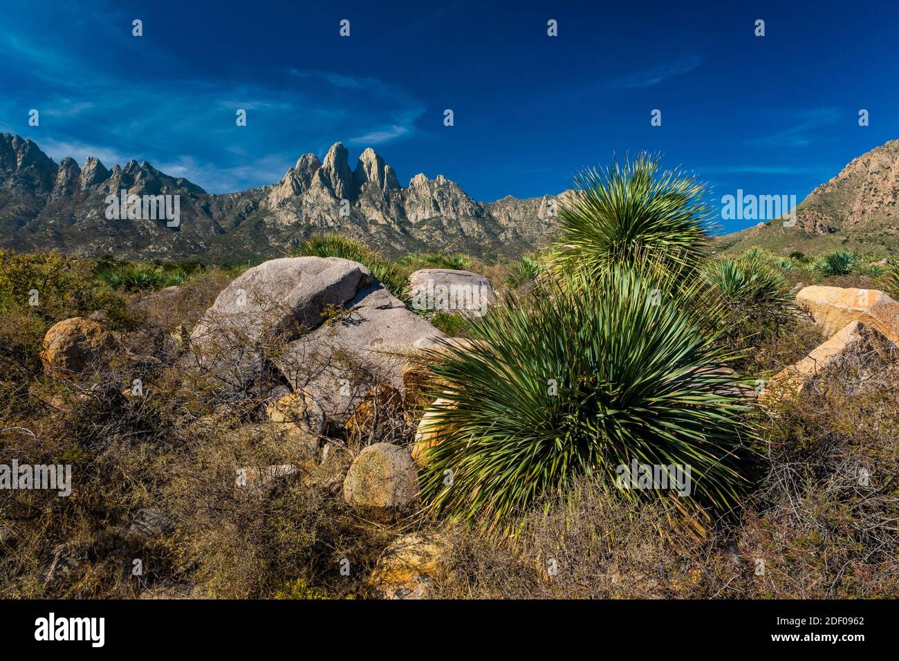 Chihuahuan Desert landscape near Aguirre Springs Campground, Organ ...