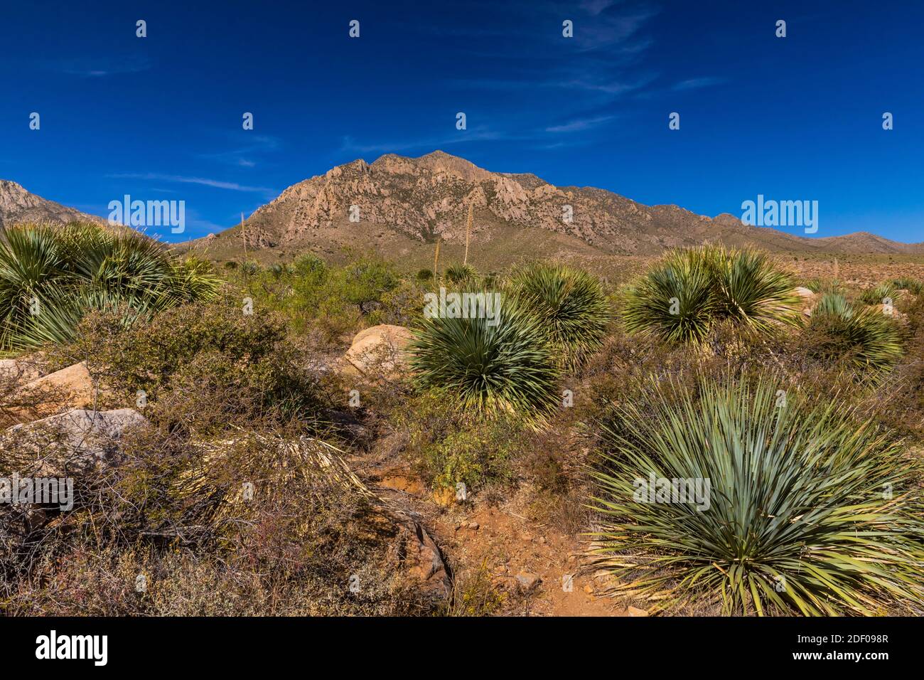 Chihuahuan Desert landscape near Aguirre Springs Campground, Organ ...