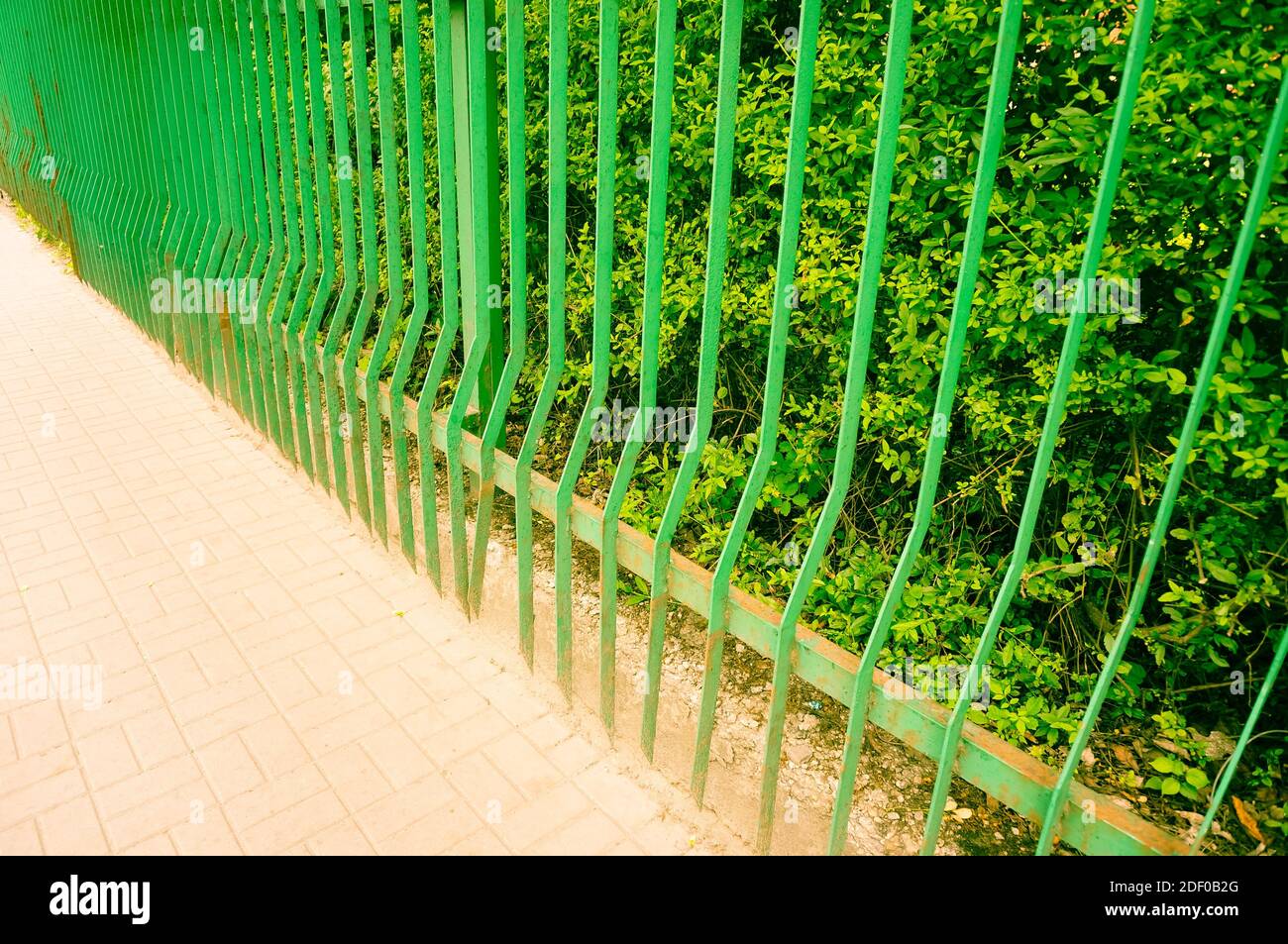 A green metal fence with beautiful green plants in the background Stock ...