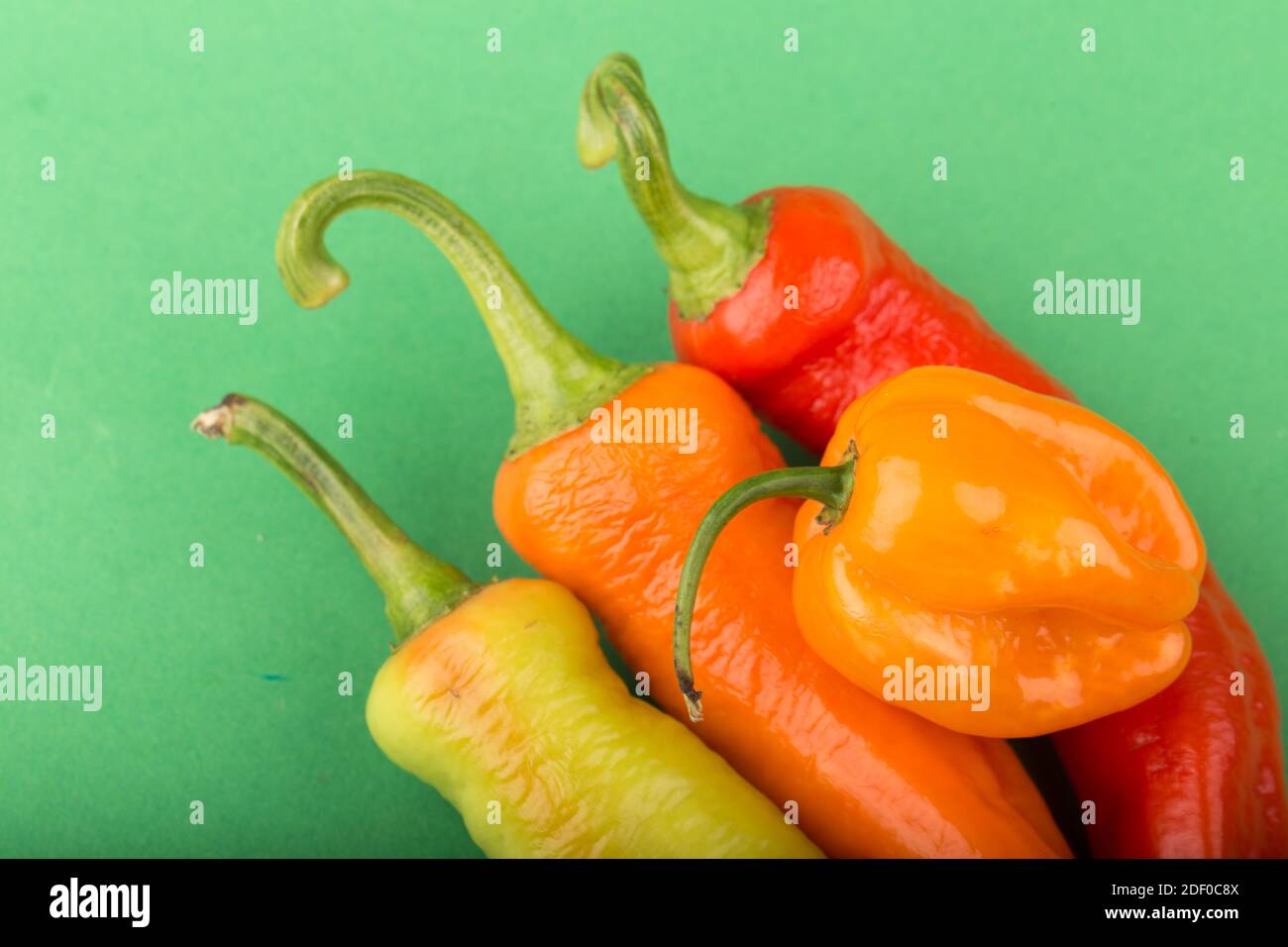 Hungarian wax peppers hi-res stock photography and images - Alamy