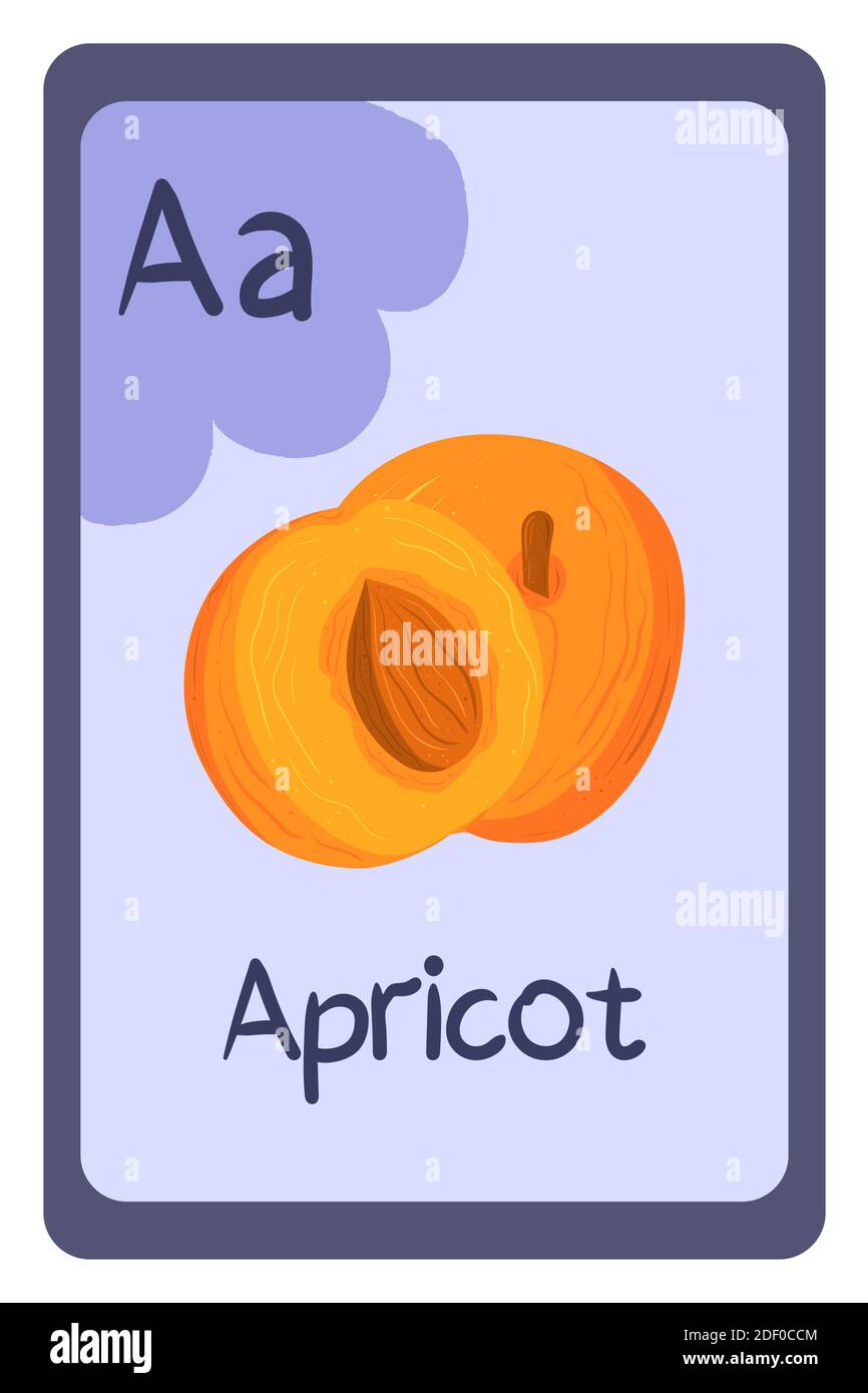 Colorful alphabet letter A - apricot. Phonics flashcard. Food themed ...