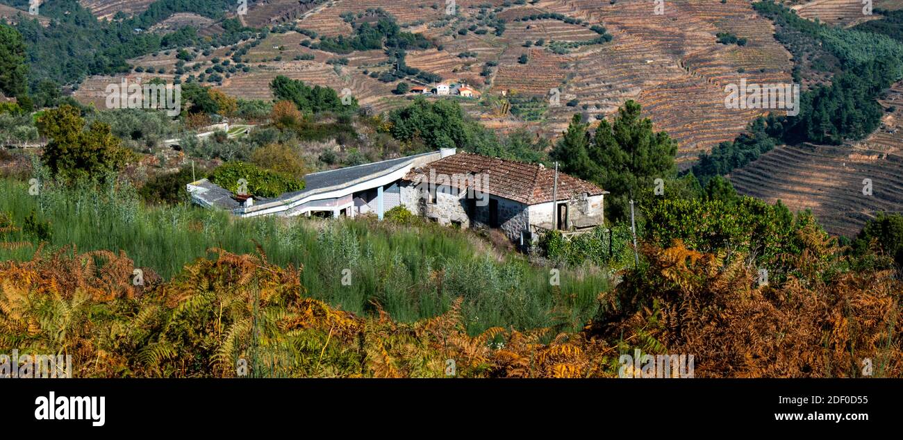 old house in sabrosa Stock Photo - Alamy