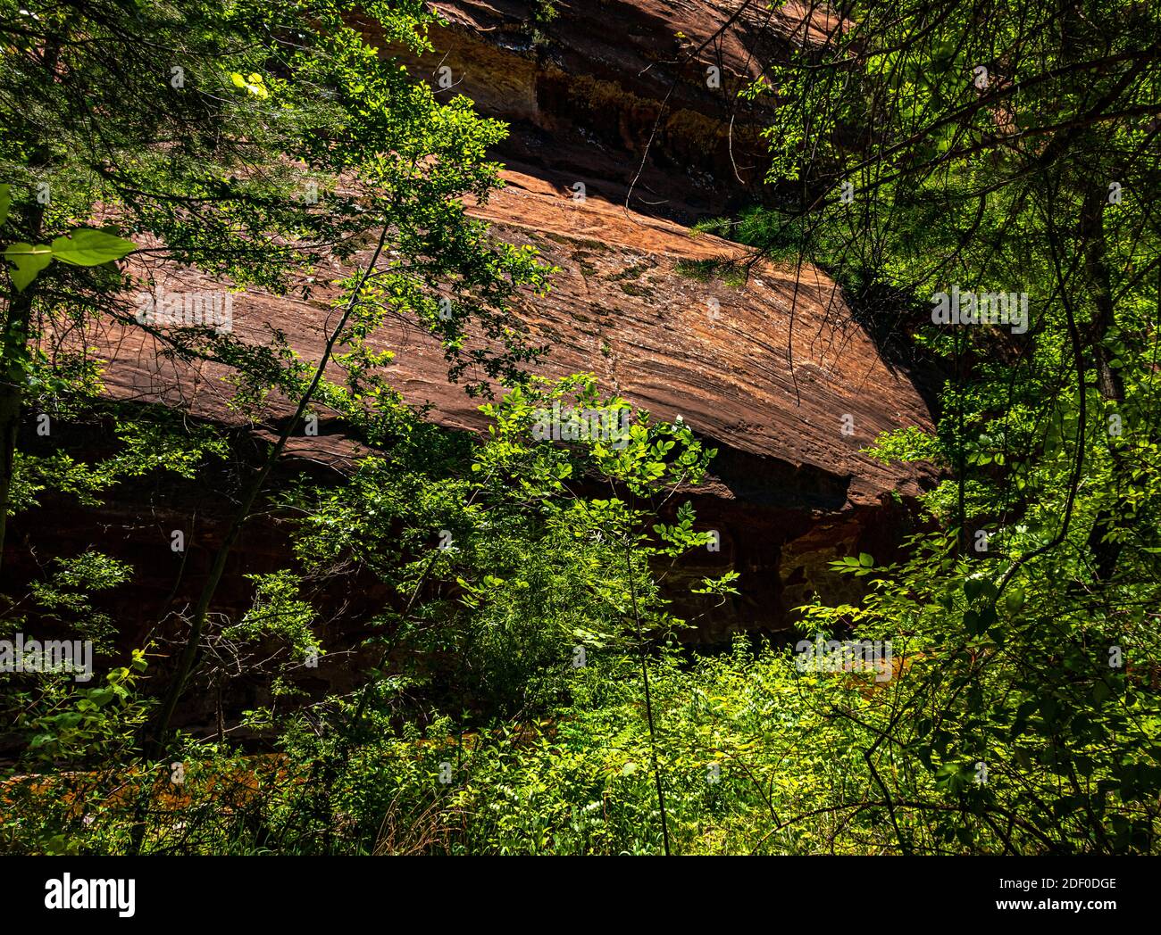 Hiking tte West Fork Trail at Sedona, Arizona Stock Photo - Alamy