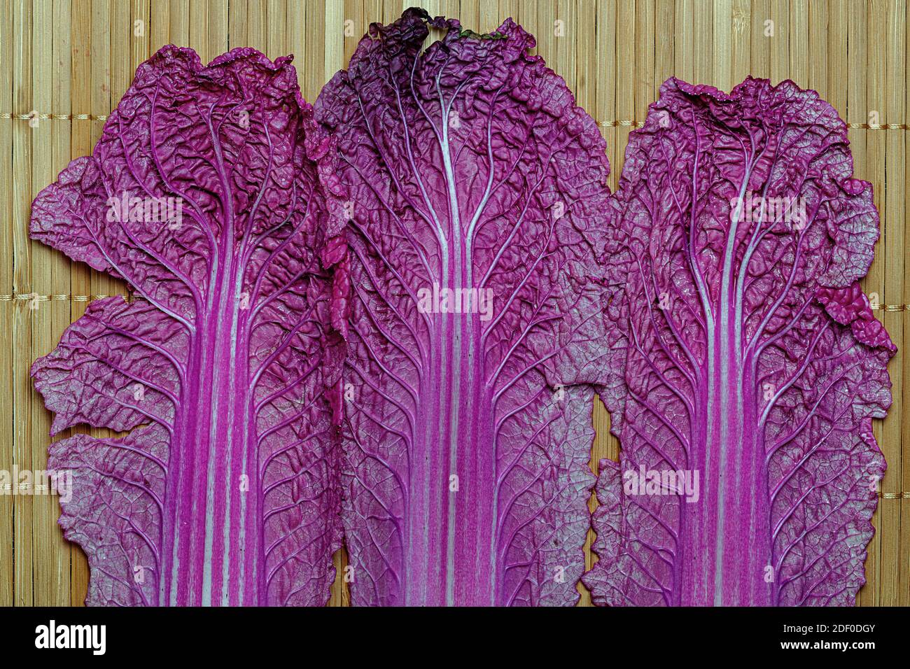 Red dragon chinese cabbage hi-res stock photography and images - Alamy