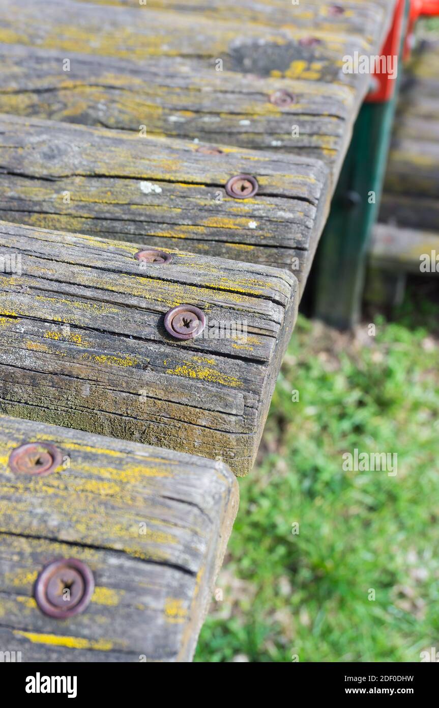A closeup shot of bolts and washer on the edge of a wooden bench Stock ...