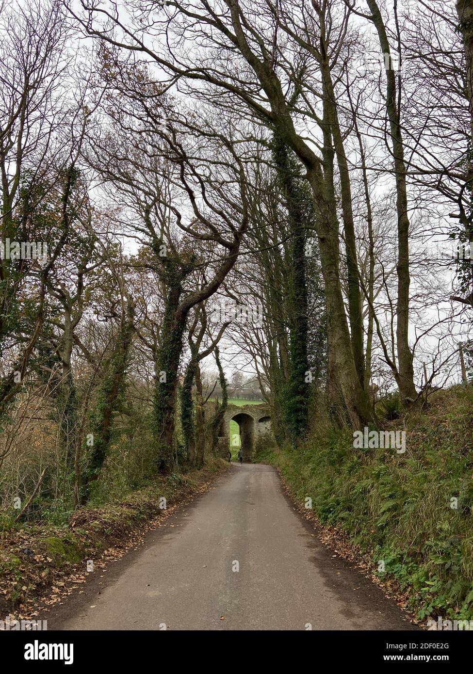 Landgate tower rye hi-res stock photography and images - Alamy
