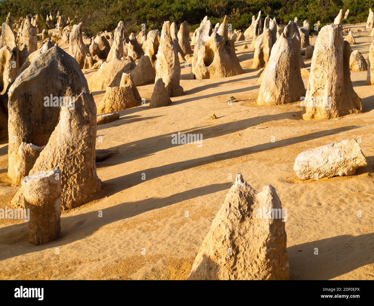 Pinnacles western australia vegetation hi-res stock photography and ...