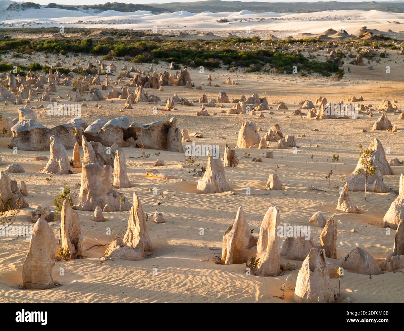 The Pinnacles, Nambung National Park, Western Australia Stock Photo - Alamy