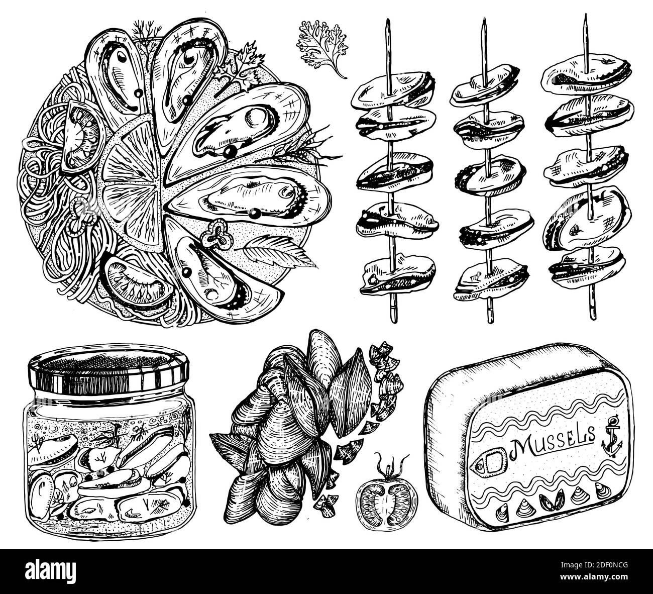 Sea mussels in vintage retro style. Nautical molluscs. Ocean food ...
