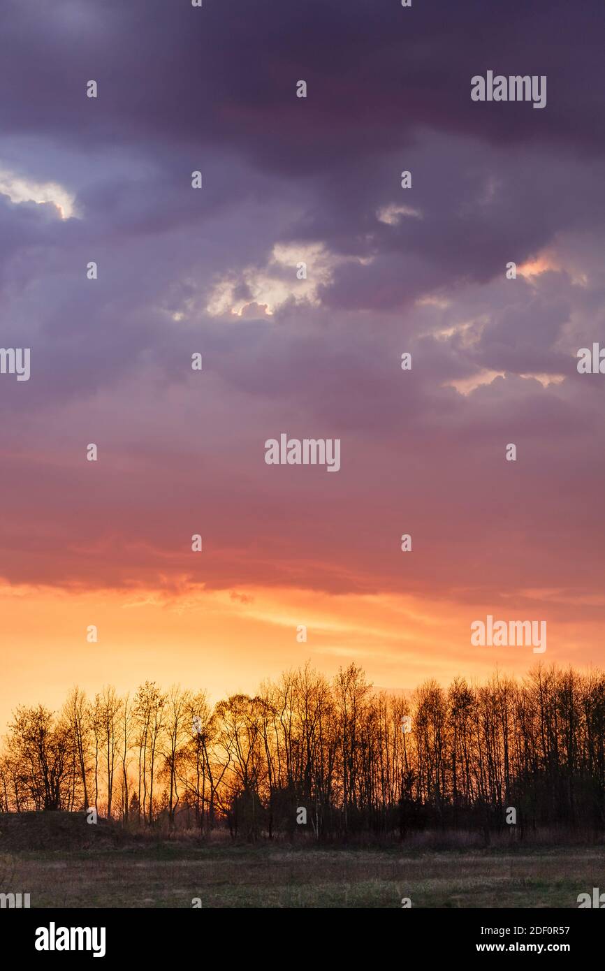 Meadow and sunset hi-res stock photography and images - Alamy