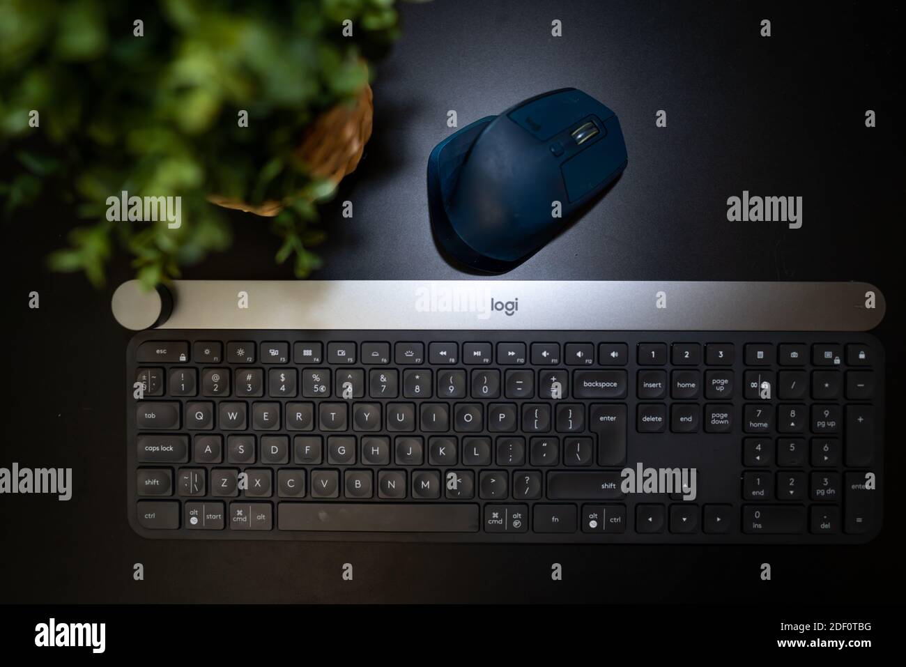 Logitech gaming mouse hi-res stock photography and images - Alamy