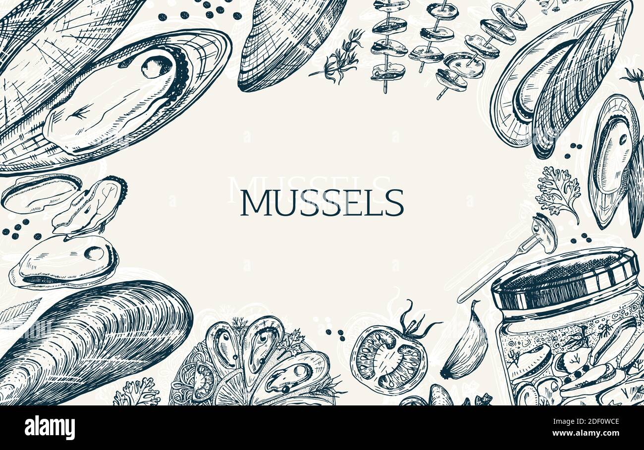Sea mussels. Poster or banner in vintage retro style. Nautical molluscs ...
