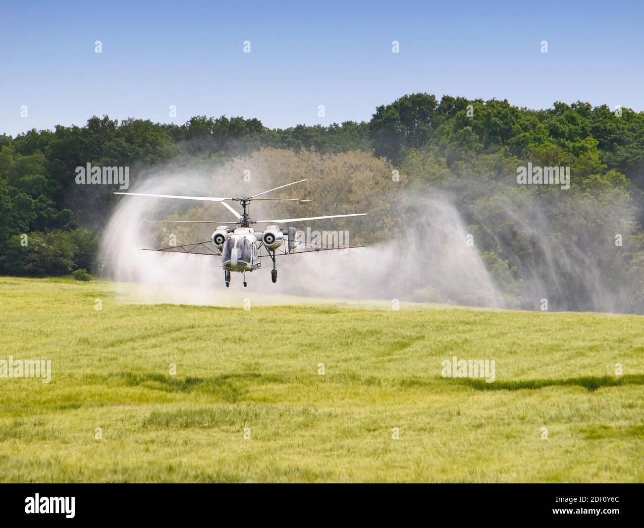 Aerial spraying over a field of wheat to control pests in agriculture ...