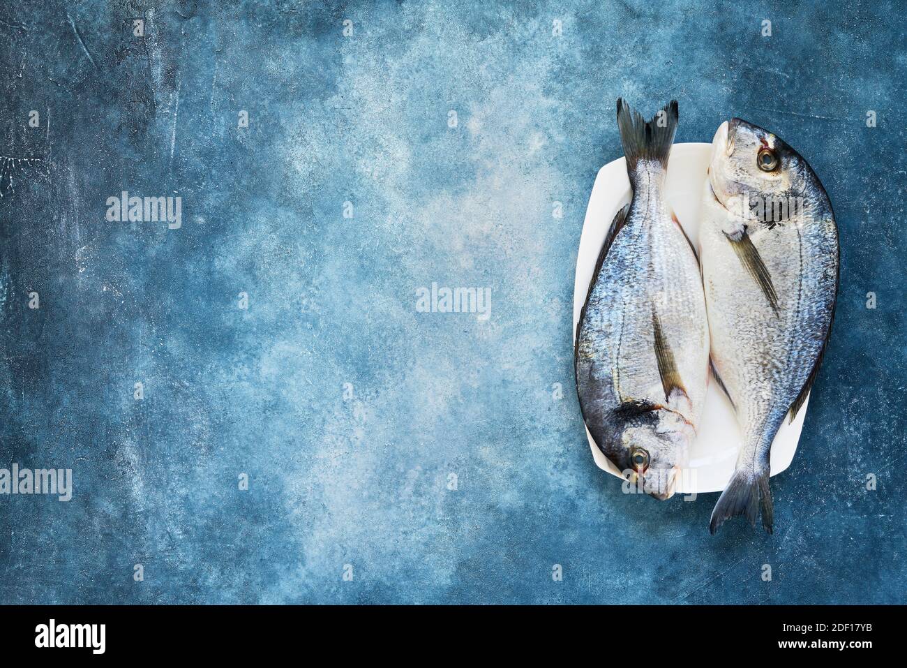 Fresh Royal Dorade in plate on Blue Background. Healthy food concept ...
