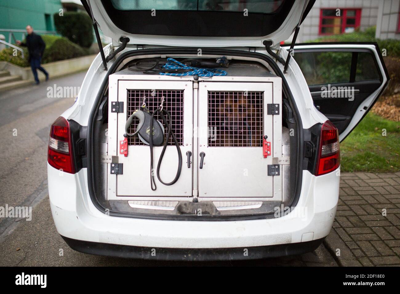 Police forces dog during a visit at the AstraZeneca factory in Dunkirk ...